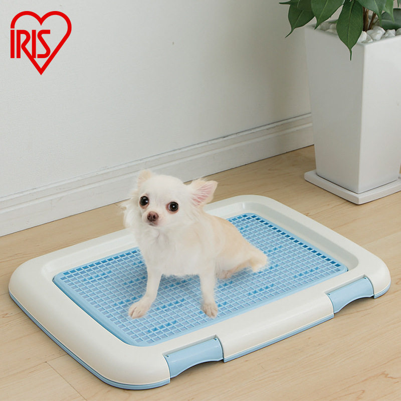 Good news for pets! 🌟 Japanese iris dog toilet pet dog urinal 🐱 🐶