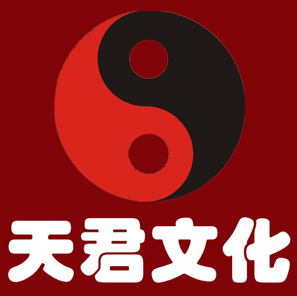 天君电脑科技