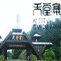 乡土食韵皋淘乐