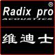 维迪士电子音响科技