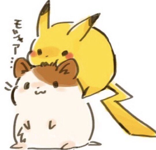 黄小猫的进口布屋