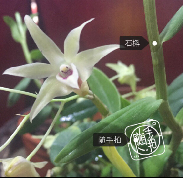 奇遇商行
