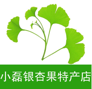 小磊银杏果特产