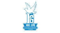 飞鸽镁合金自行车品质1号店