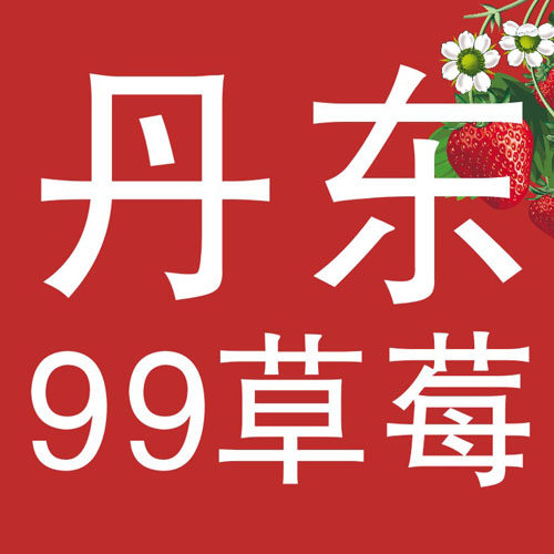 果然好丹东99草莓基地