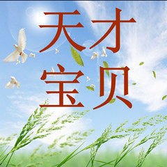 天才宝贝文化