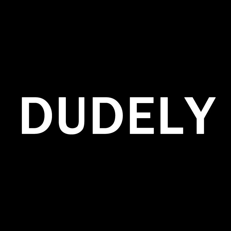 DUDELY专业汽配