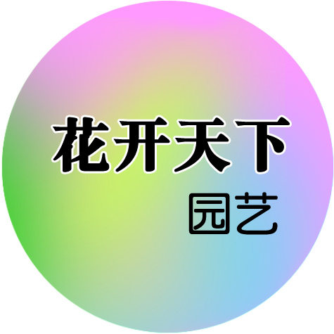 花开天下园艺