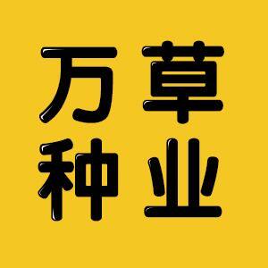 安国中药材推广站