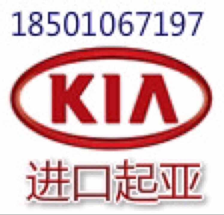 进口起亚配件