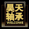 上海昊天精密轴承