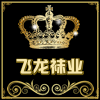 飞龙袜业