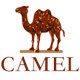 camel骆驼内衣旗舰店