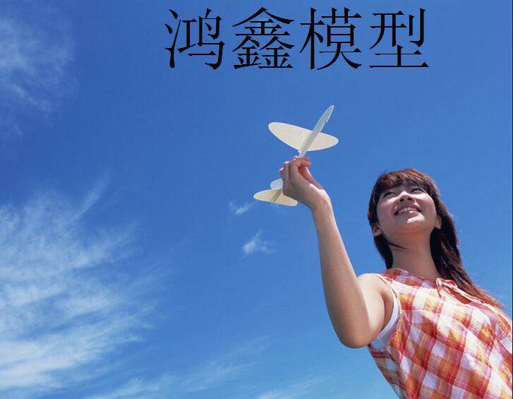 鸿鑫模型