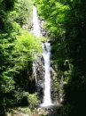 鑫锐光学
