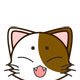 猫护招财猫
