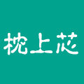 枕上芯 双人枕套专家