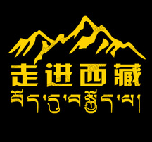极速车贴设计