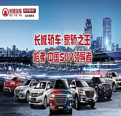 合肥金鹏长城汽车配件专销店