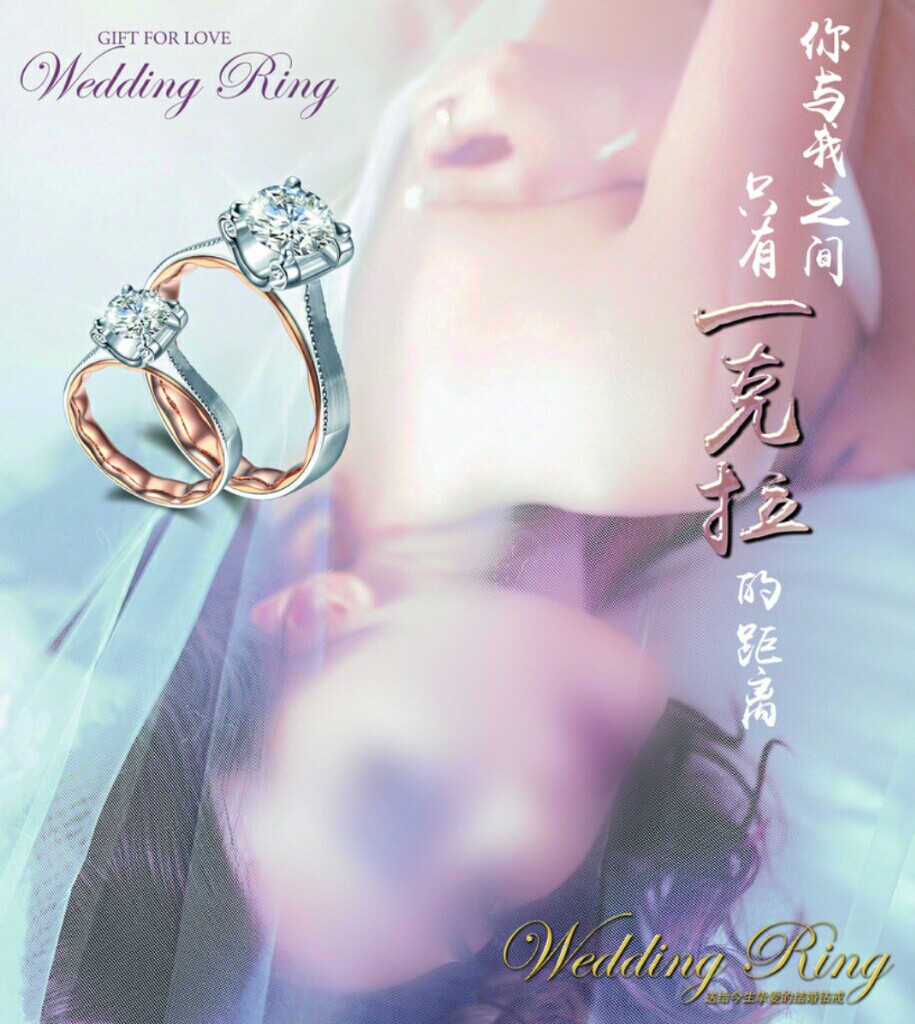 洋子的秘密花园