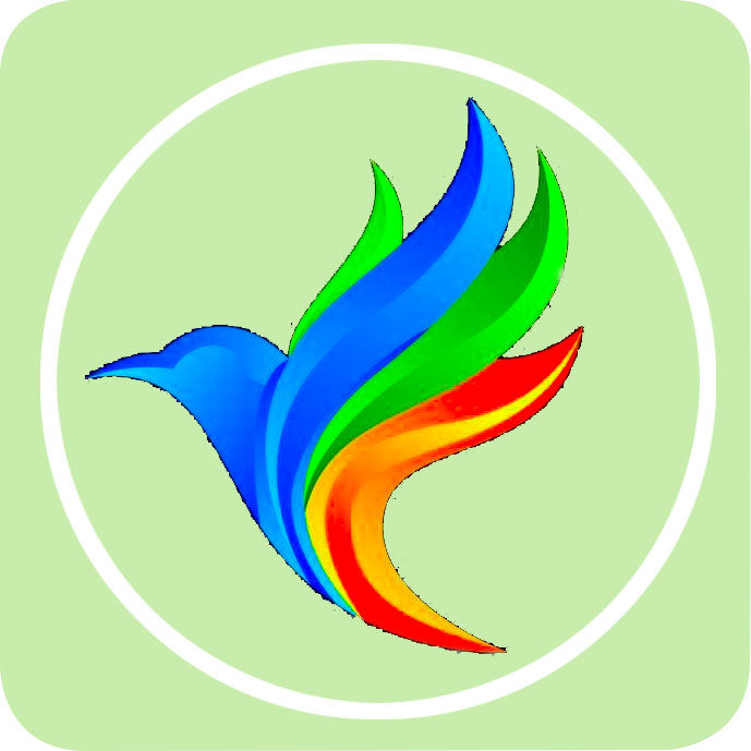 激光鸟官方店