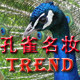 孔雀名妆trend