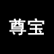 尊宝数码科技