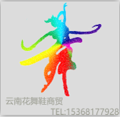 花舞鞋舞蹈鞋定制专店