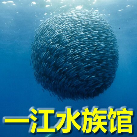 一江水族馆