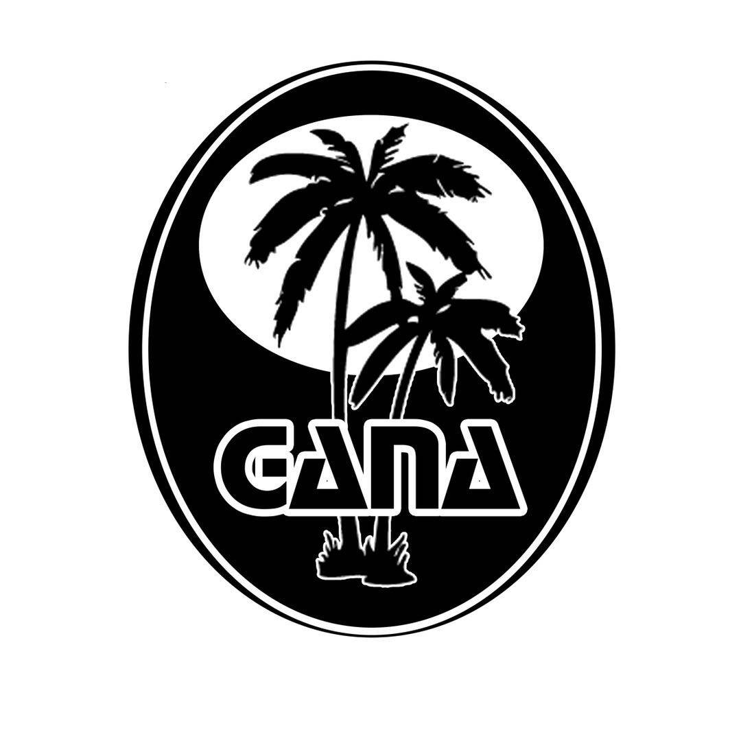 GANA品牌乐器店