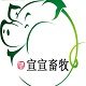 宣宣畜牧