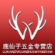 鹿仙子五金专营店