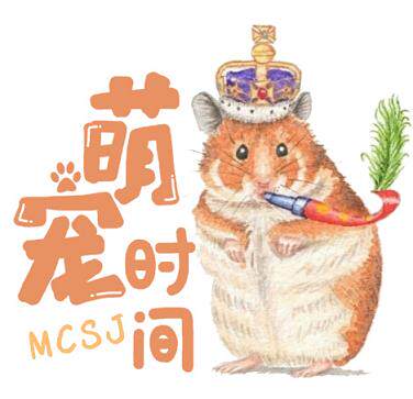 萌宠时间