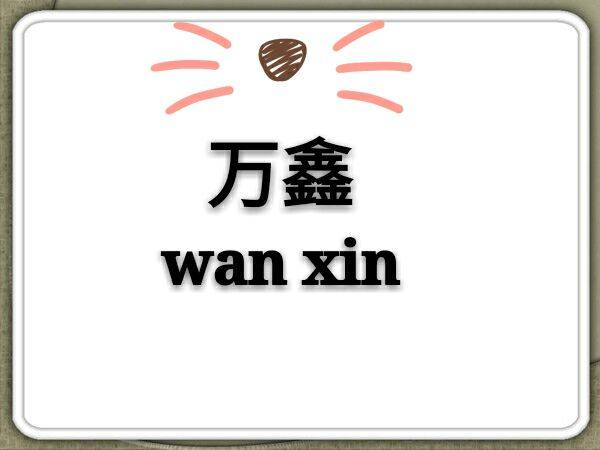 万鑫汽车电器
