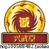 兴武堂武术太极正品