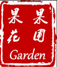 果果空气凤梨积水凤梨基地现货