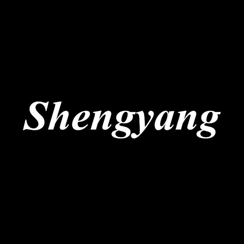 升扬数码