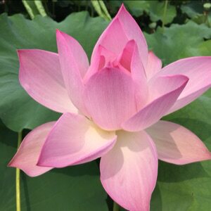 温馨生活布艺坊