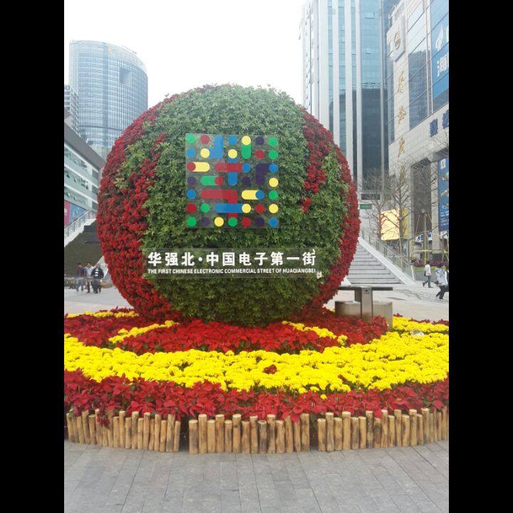 深圳旺风电子