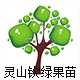 灵山钦绿果苗