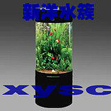 新洋水族