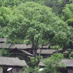 岑溪市忆乡情土特产店