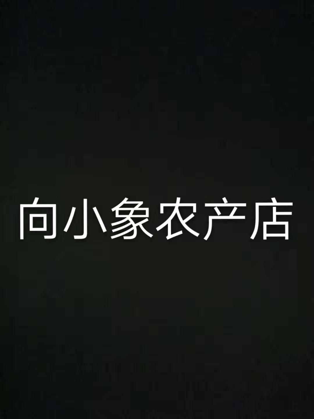 向小象农产店