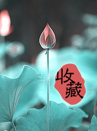 西米梦幻园