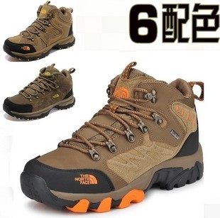 主人 带我回家吧