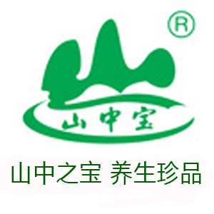 山中宝公司企业店