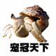 宠冠天下