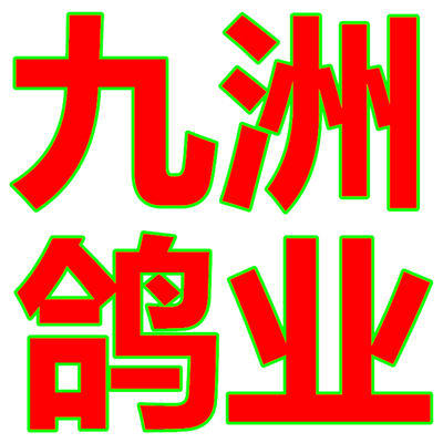 九洲鸽业批发