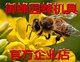 御蜂园蜂机具企业店