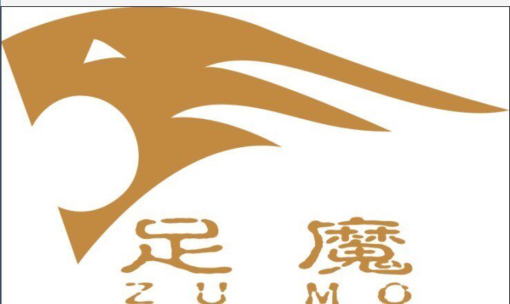 鞋神运动 足魔体育